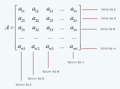Konsep Matriks: Pengertian, Jenis dan Tranpose | Matematika Kelas XI Fase F