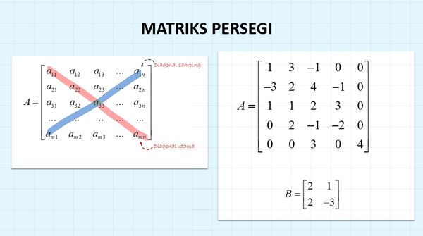 Konsep Matriks: Pengertian, Jenis dan Tranpose | Matematika Kelas XI Fase F